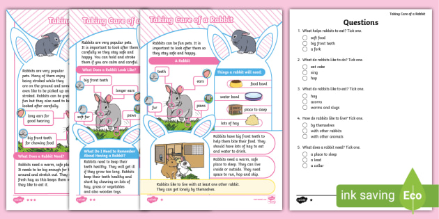 KS1 How to Look After a Rabbit Differentiated Reading Comprehension ...