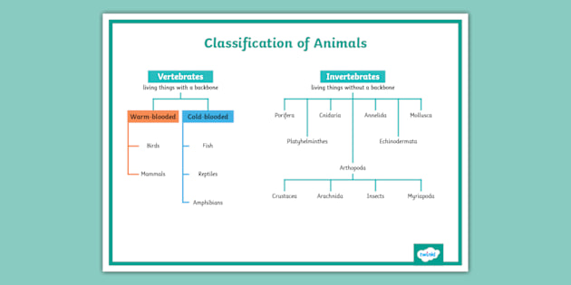 Animal Taxonomy Classification Chart