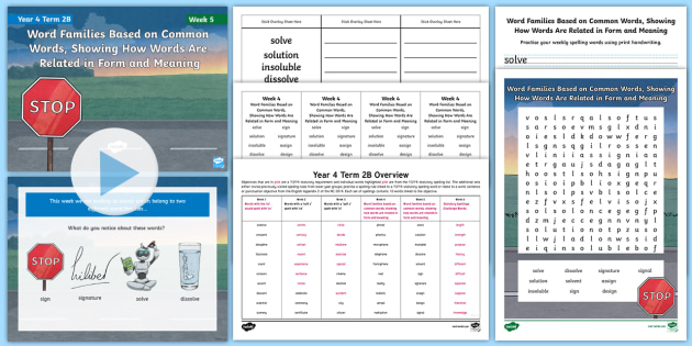 Year 4 Term 2B Week 5 Spelling Pack (teacher made)