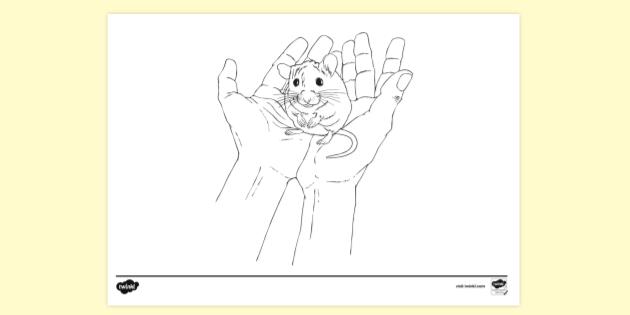 FREE! - Mouse in Hands Colouring | Colouring Sheets