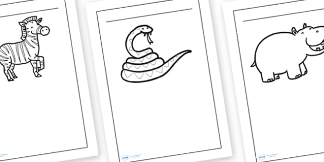 FREE! - Safari Writing Frames (teacher made)