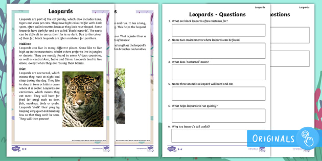 First Level Leopards Differentiated Comprehension Go Respond Worksheet