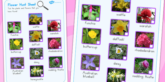 Flowers Hunt Sheet (teacher made)