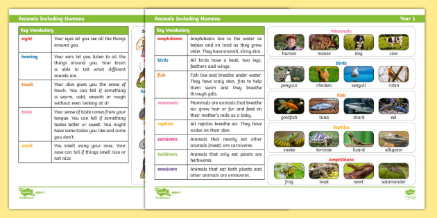Science Knowledge Organiser: Animals Including Humans Year 1