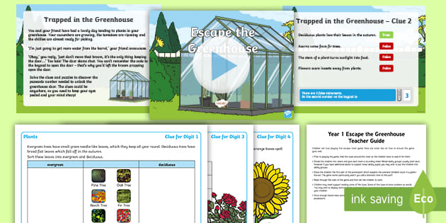 KS1 Plants Game | Escape the Room (teacher made)