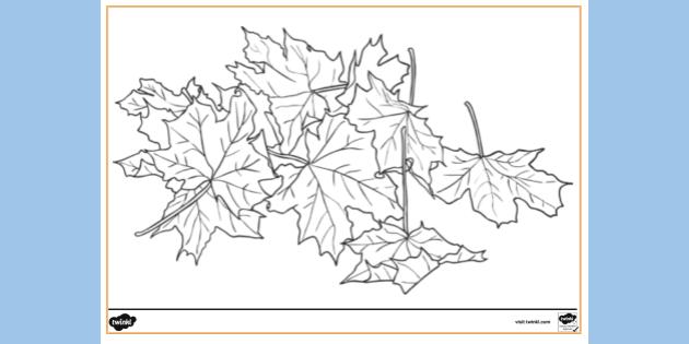 FREE! - Autumn Colouring Page | Colouring Sheets