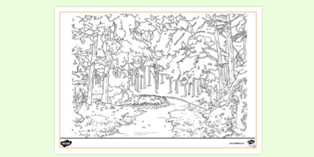 FREE! - Free Nature Colouring Page - Primary School - Twinkl