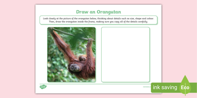 * NEW * Draw an Orangutan Art Activity,orangutan,orangutan drawing