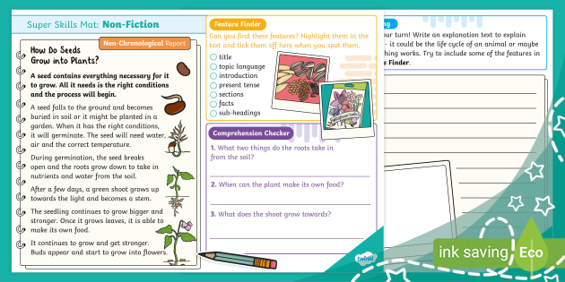 Super Skills Mat: Explanations: How Do Seeds Grow into Plants? (Ages 5 - 7)
