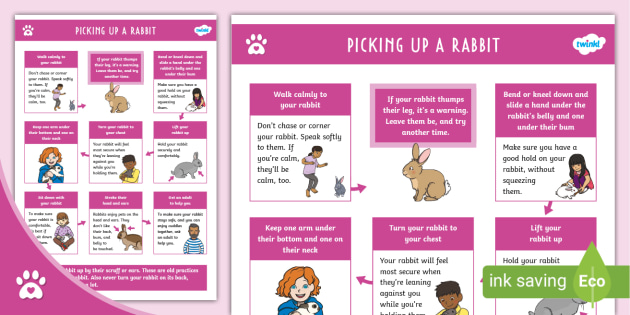 Picking up a Rabbit - Sequencing Poster - Pet - Twinkl Pets