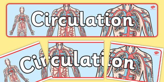 Circulation Display Banner - circulation, display banner