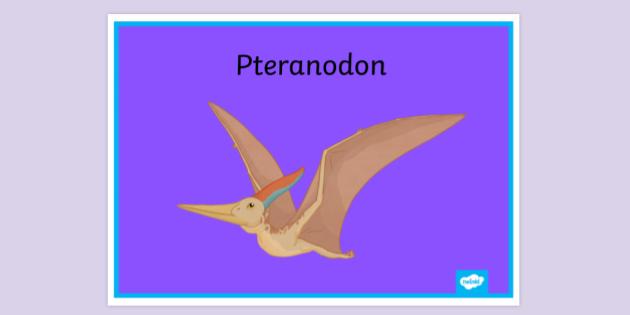 FREE! - Pteranodon Poster | Display | Twinkl Primary Resources