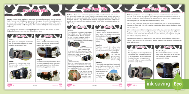 Cow Fact File