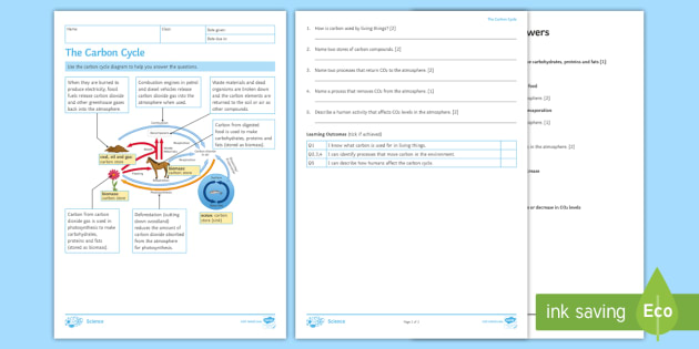 KS3 Carbon Cycle Homework Worksheet (teacher made)