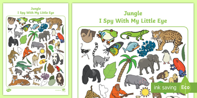 Jungle-Themed I Spy with My Little Eye Activity