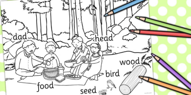 Final 'D' Sound Production Colouring Sheet (teacher made)