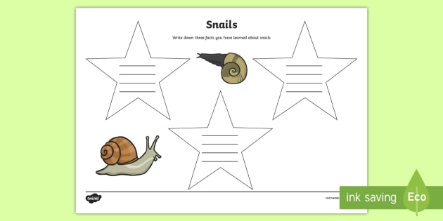 Facts I Have Learned about Snails Activity (teacher made)