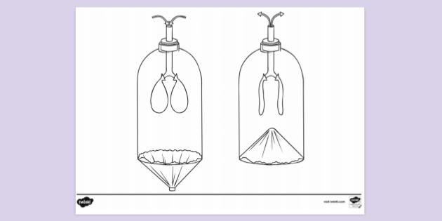 FREE! - Bell Jar Lung Model Colouring | Colouring Sheets