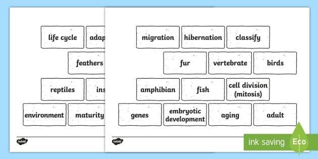 Growth and Changes in Animals Word Wall (Teacher-Made)