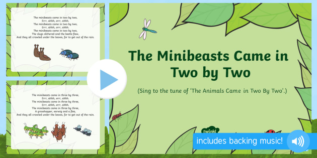 The Minibeasts Came in Two by Two Song PowerPoint