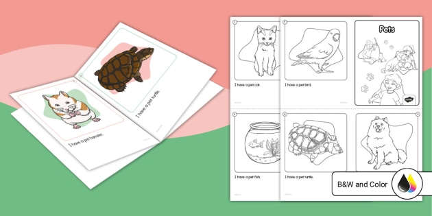 Pets Early Emergent Reader (teacher made)