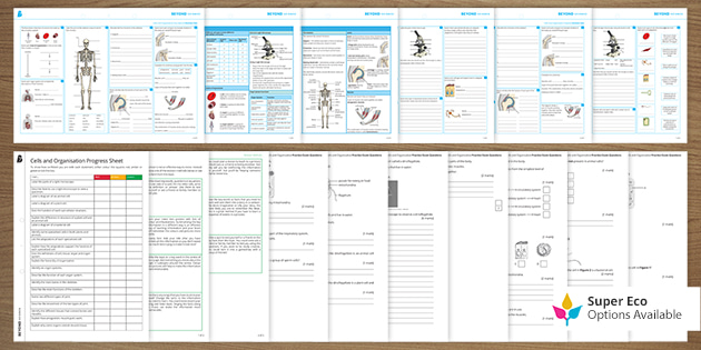 Cells and Organisation Revision Pack - Beyond Secondary