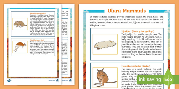 Uluru Mammals Fact File (Teacher-Made)