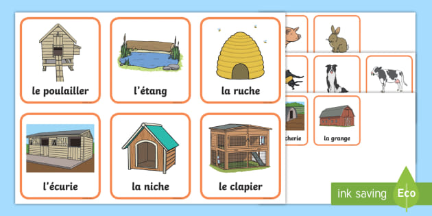 Cartes pour jeu de paires : Où vivent les animaux