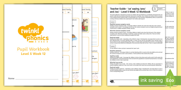 Level 5 Week 12 Phonics Workbook - KS1 - Twinkl Resources