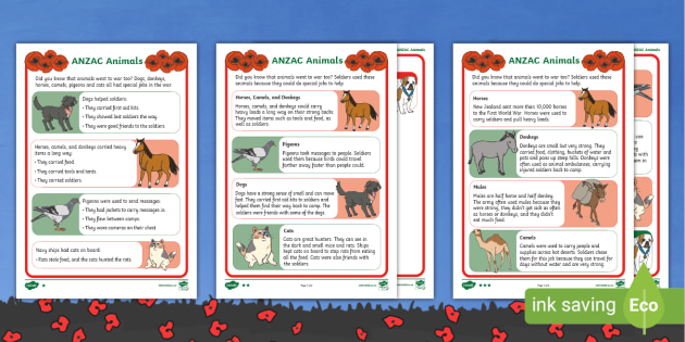 ANZAC Animals Differentiated Reading Comprehension
