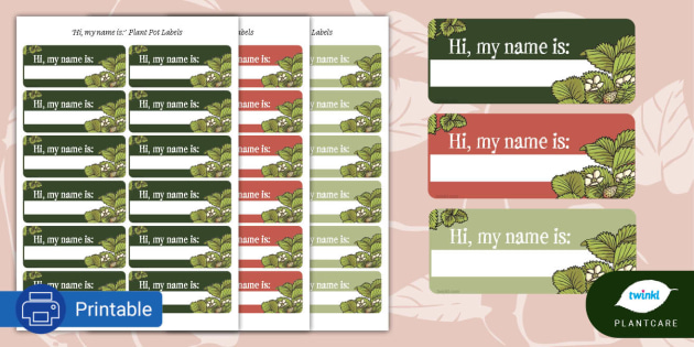 Printable Plant Pot Labels (teacher made)