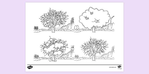 Coloring Seasons Color & Frame Color & Frame Inspiration (Adult