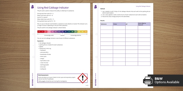 pH Investigation Using Red Cabbage Indicator | Beyond