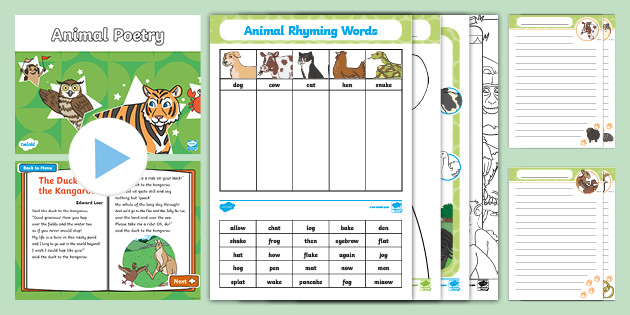 KS1 Animal Poetry Activity Pack (teacher made)