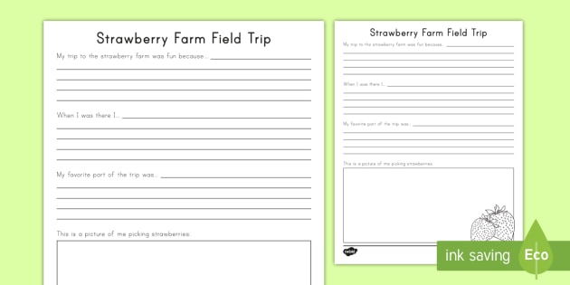 Strawberry Farm Field Trip Write-Up Activity