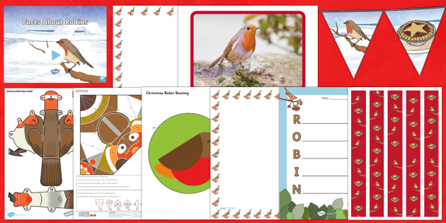 KS2 Robins Resource Pack (teacher made)