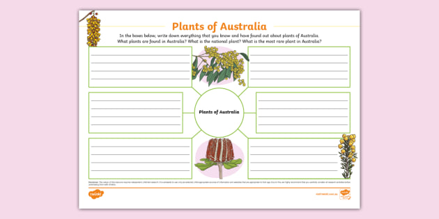 Plants Mind Maps | twinkl.com.au