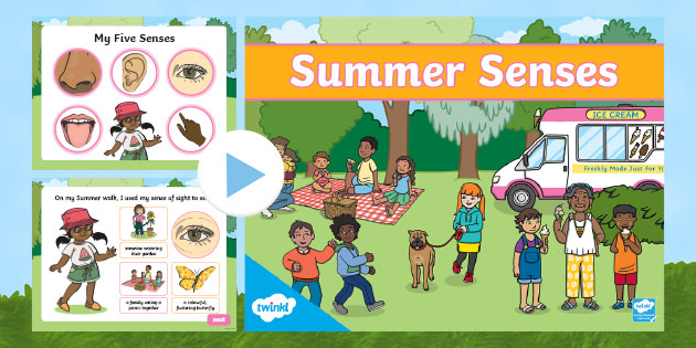 EYFS Summer Senses PowerPoint (teacher made)