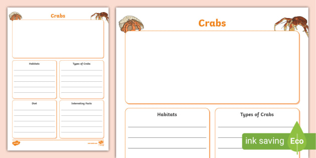 Crabs Fact File Template, crab fact file (teacher made)