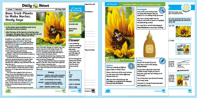 Bees Nibble Leaves to Make Plants Flower Daily Activity and Story Pack ...