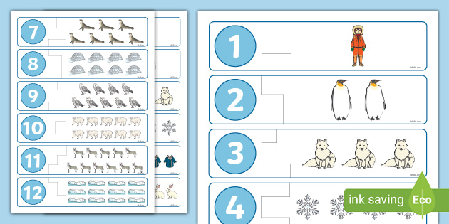 Polar Regions Counting Puzzle (teacher made)