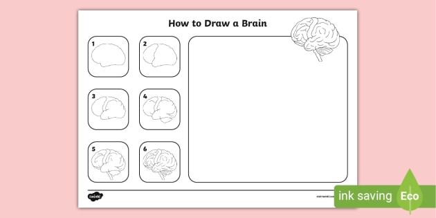 FREE! - How to Draw a Brain (teacher made)