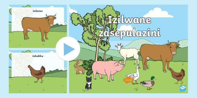 Farm Animals Powerpoint • Twinkl.com.au