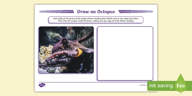 Draw an Octopus Art Activity,octopus (teacher made)