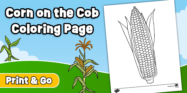 corn cob coloring page