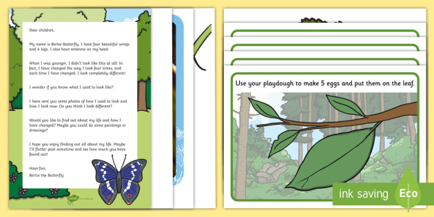 A Letter From a Butterfly - Life Cycle of a Butterfly Topic Hook Letter