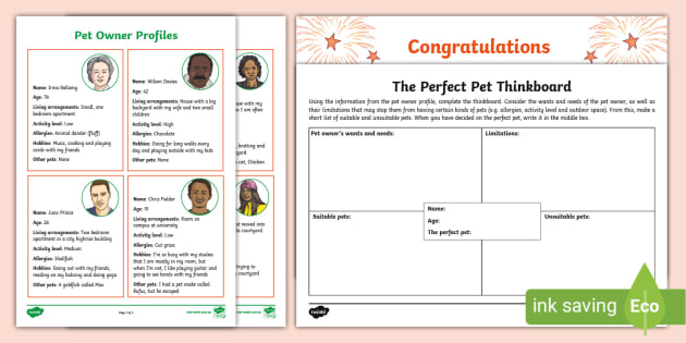 The Perfect Pet Problem Solving Activity (teacher made)