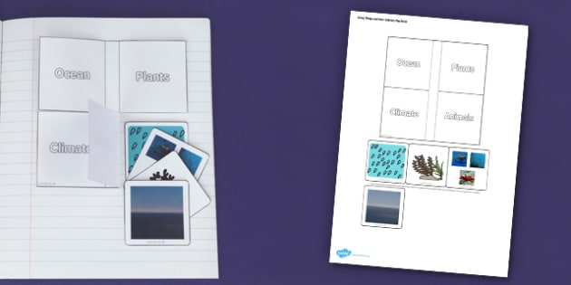 Living Things and their Habitats Ocean Flap Book