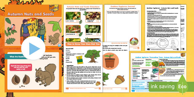 Outdoor Explorers - KS1 Autumn - Lesson 2: Autumn Nuts and Seeds