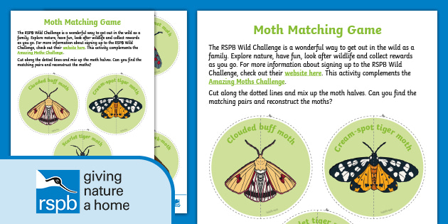 FREE! - Moth Matching Game (Ages 5 - 7) (teacher made)
